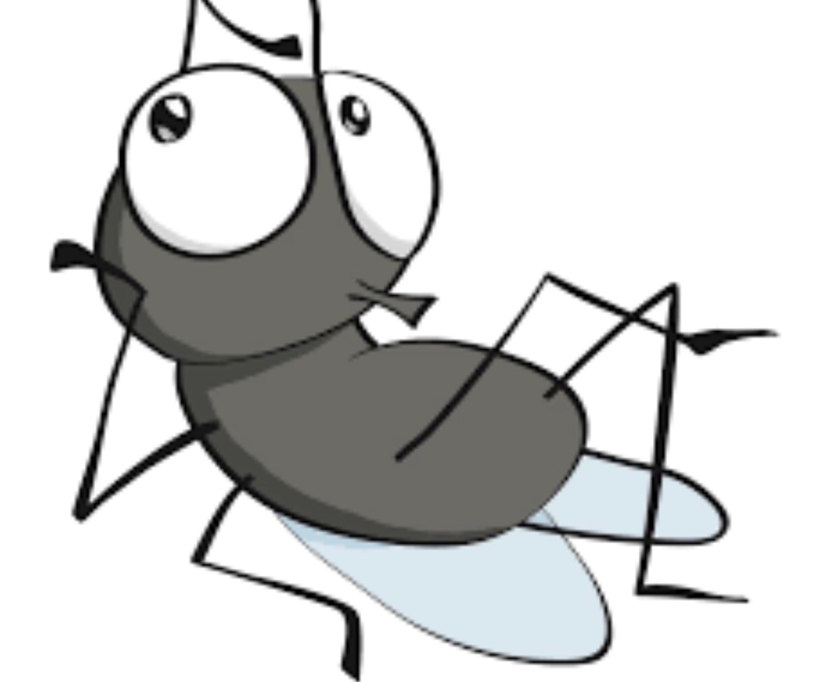 La mosca que odiaba la caca – Malu escritora